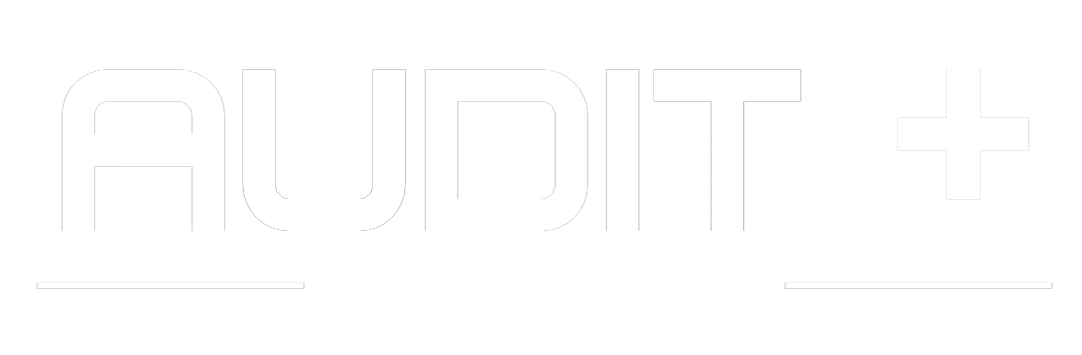 AuditPlus - AegisWard USA